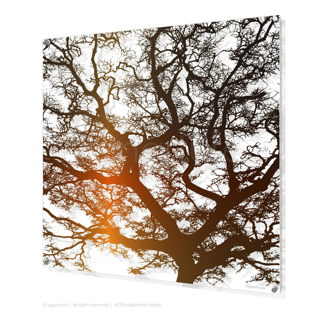 perspex plexiglas acrylic glass art sunrise tree silhouette print ...