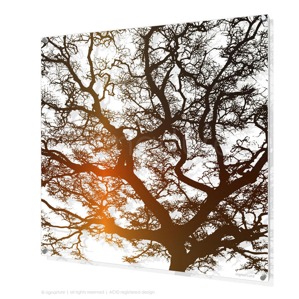 perspex plexiglas acrylic glass art sunrise tree silhouette print ...