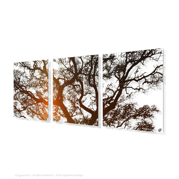 perspex plexiglas acrylic glass art sunrise tree silhouette triptych ...
