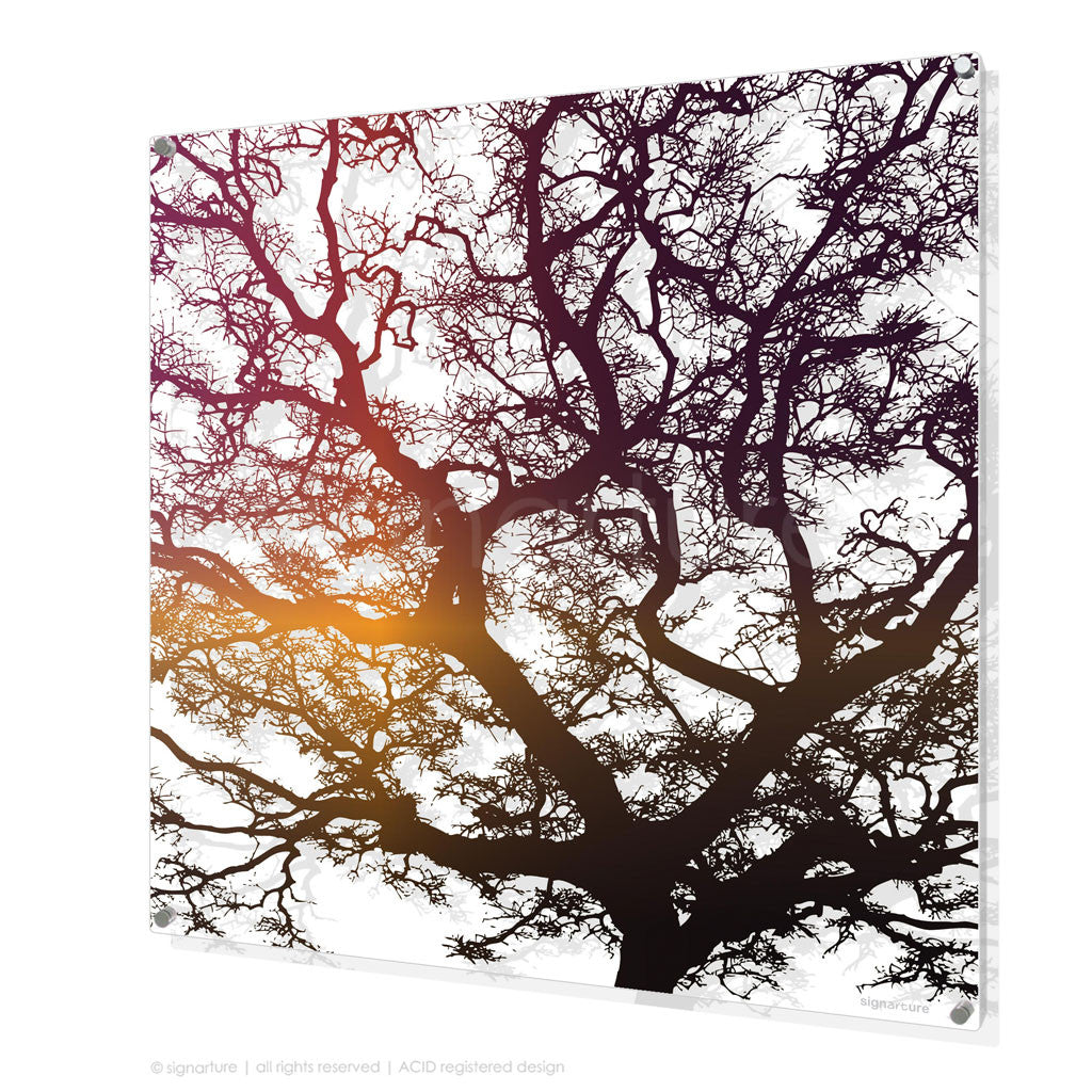 perspex plexiglas acrylic glass art sunset tree silhouette print ...